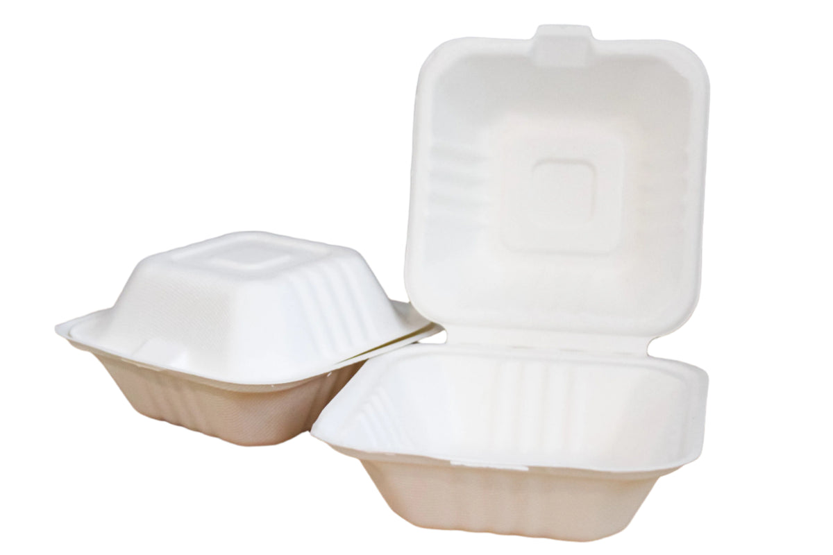 IMG_2243_b19f7fdb-e196-49f7-a557-5bf56330d4f9_1200x800.jpg?v=1710887497